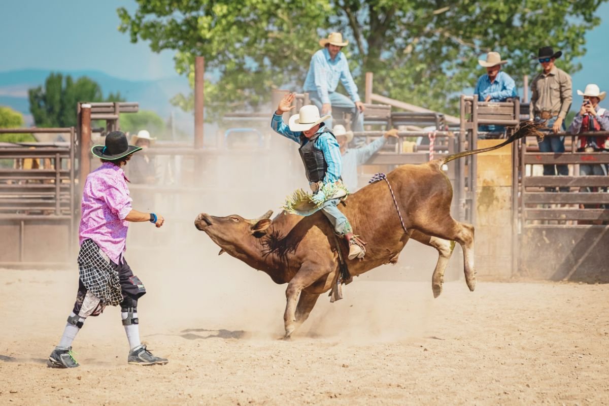 Rodeo Bik Uleteo u Publiku: Preskočio Ogradu i Napao Ženu - uzivo24